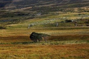 Things To Do & See - Killarney